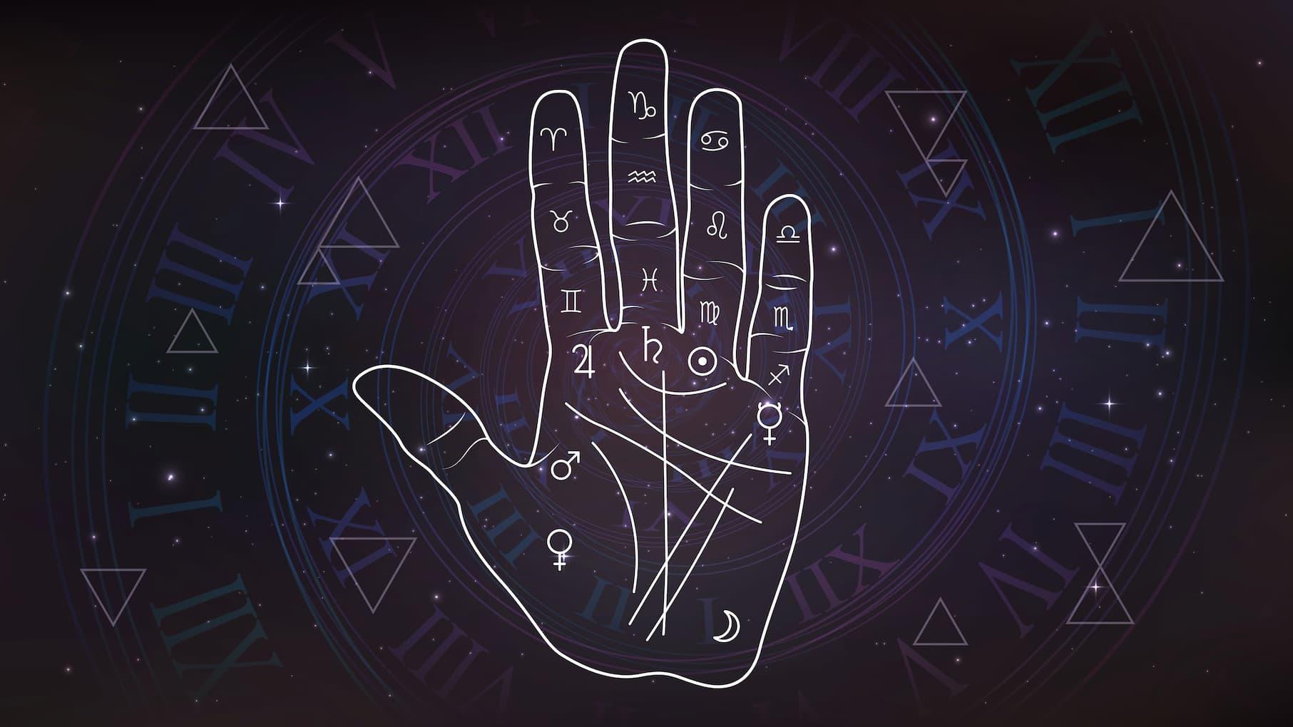 Palm Reading Scanner | Discover What Your Palm Lines Mean